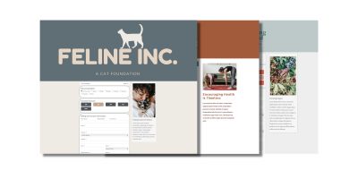 Click & Pledge: The All-in-One Fundraising Solution