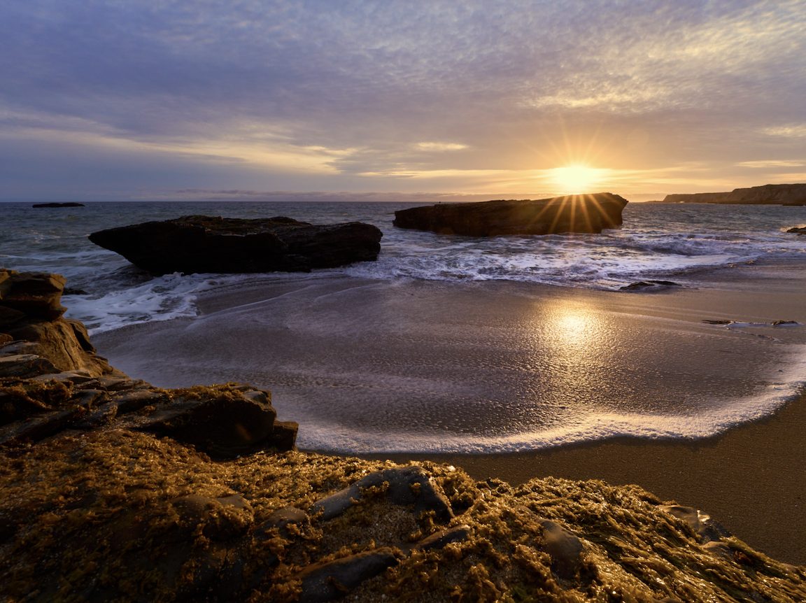 Team Ocean Film - Now Available to Watch